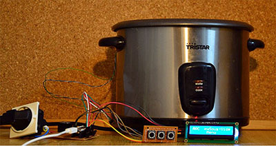 DIY Sous-Vide Machine with Arduino