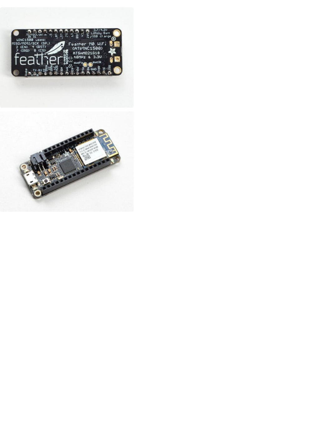 Introducing Adafruit Feather RP2040 by Adafruit Industries LLC ...